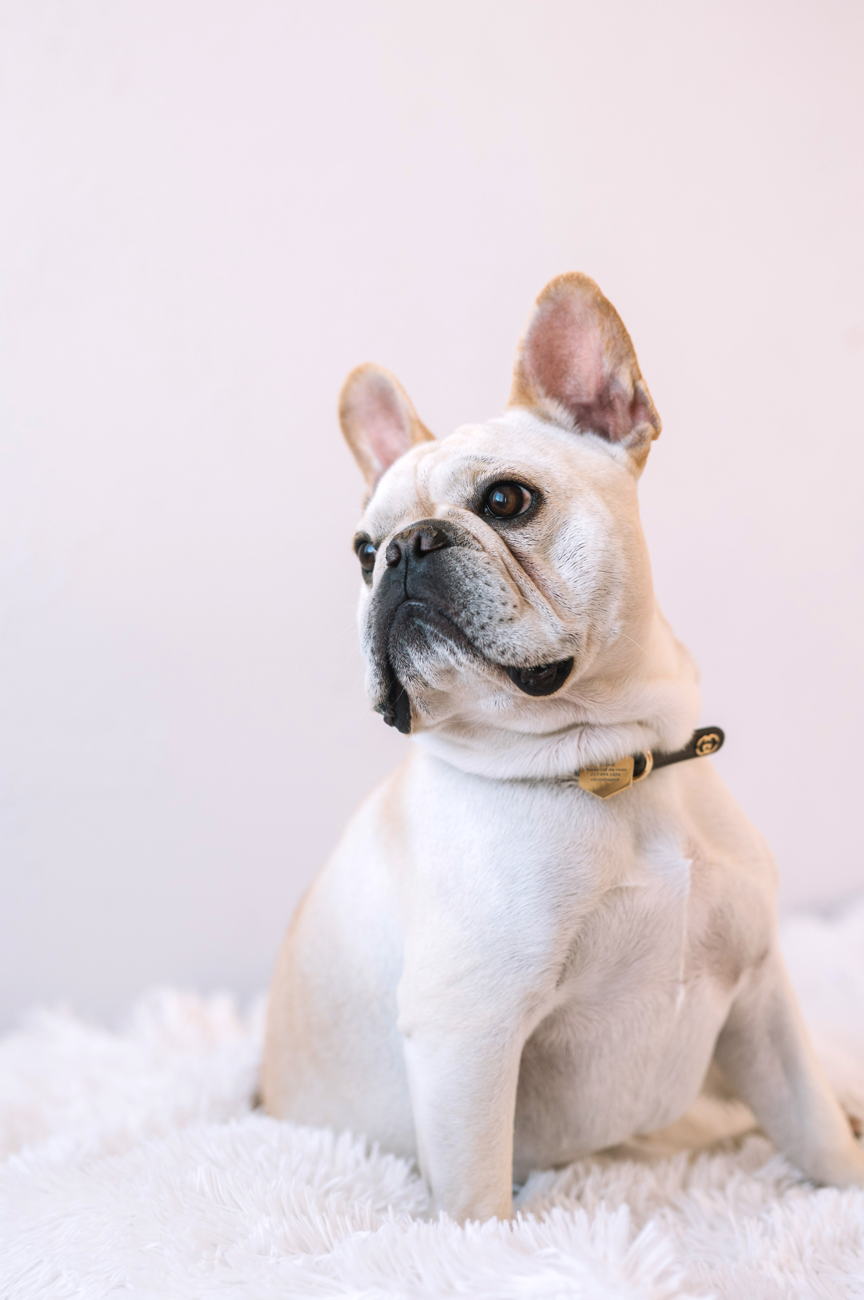 Denver Photography Studio | Kara Pearson Photography